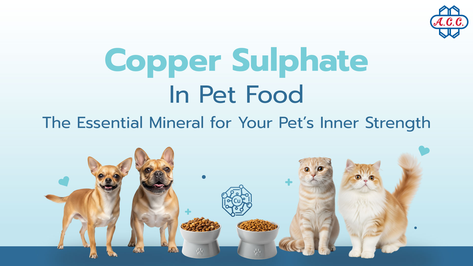 “Copper in Pet Food” The Essential Mineral That Makes Dogs and Cats ...